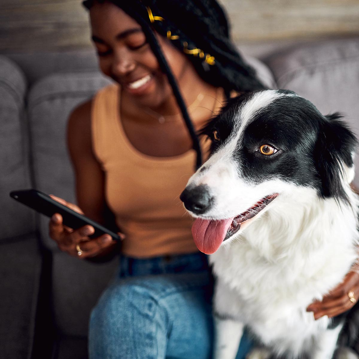 Download the PetDesk App | Bulverde Animal Hospital